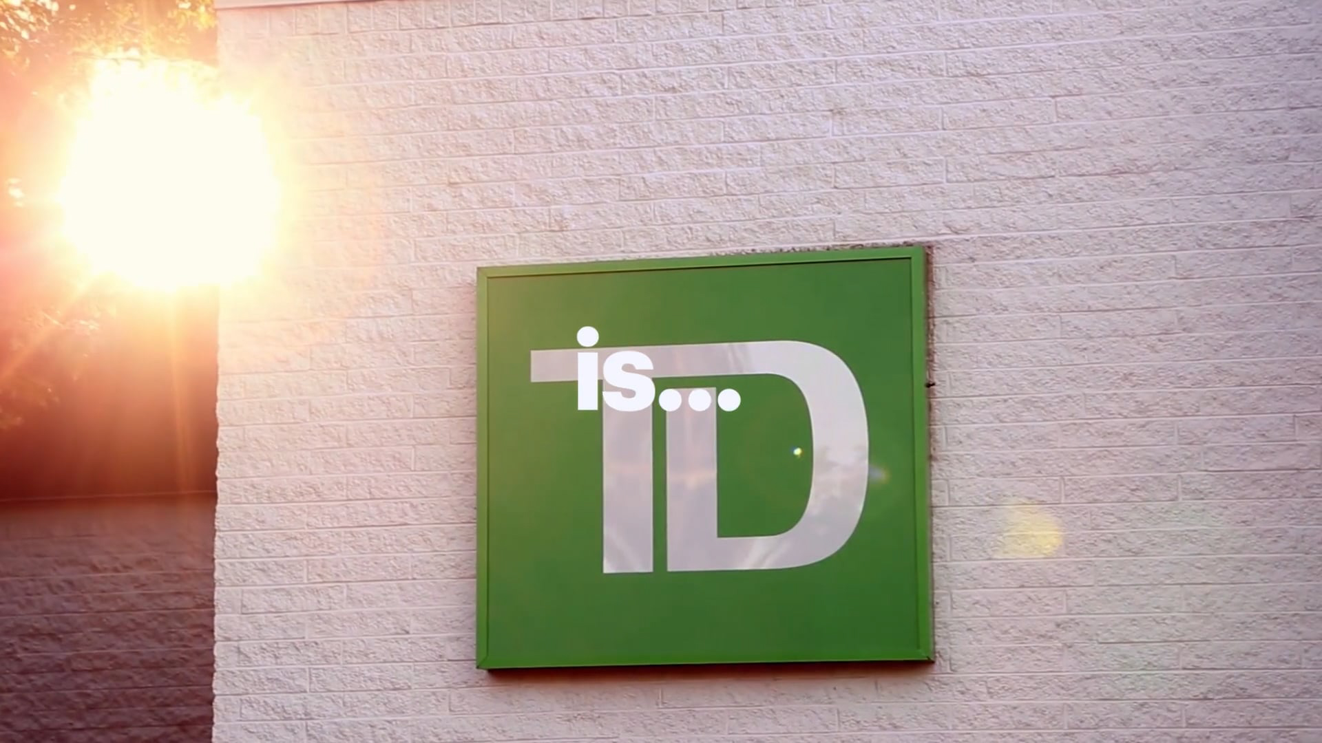 CCFV | The Future | CCFV